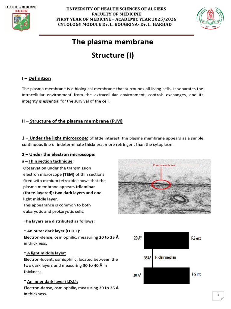 The Plasma Membrane Structure | PDF | Cell Membrane | Phospholipid
