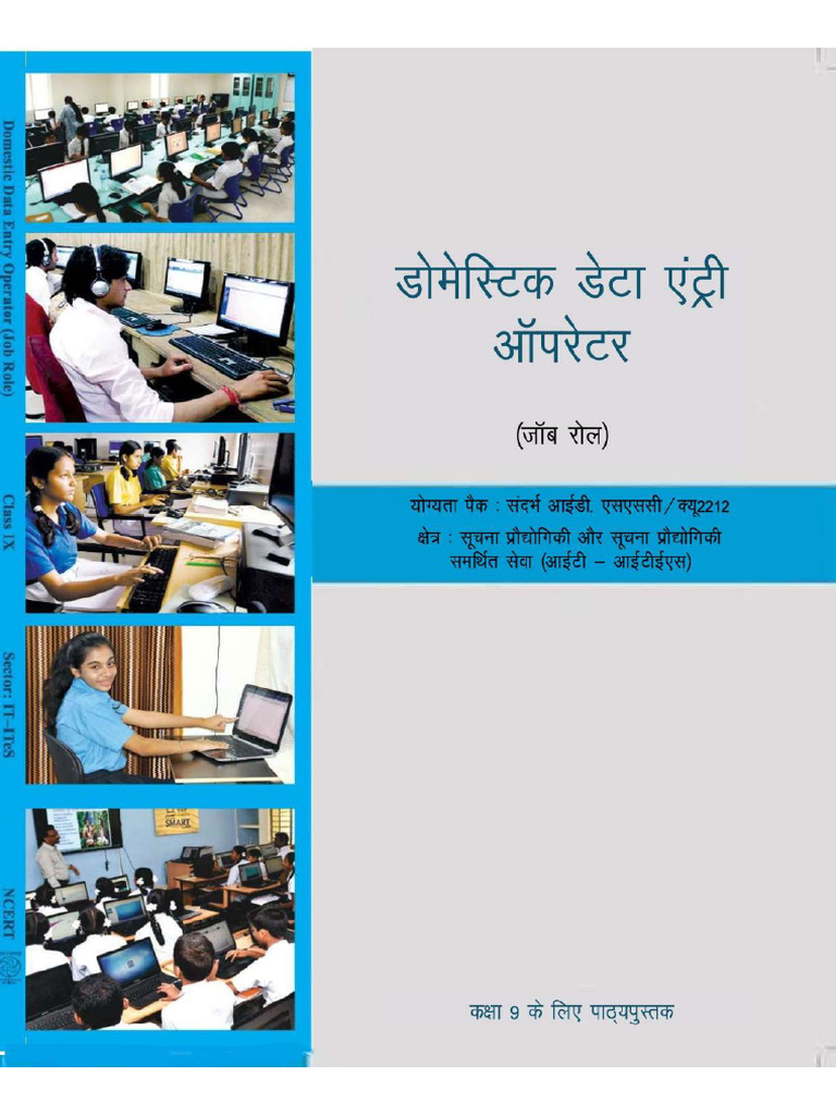 Domestic Data Entry 9th | PDF