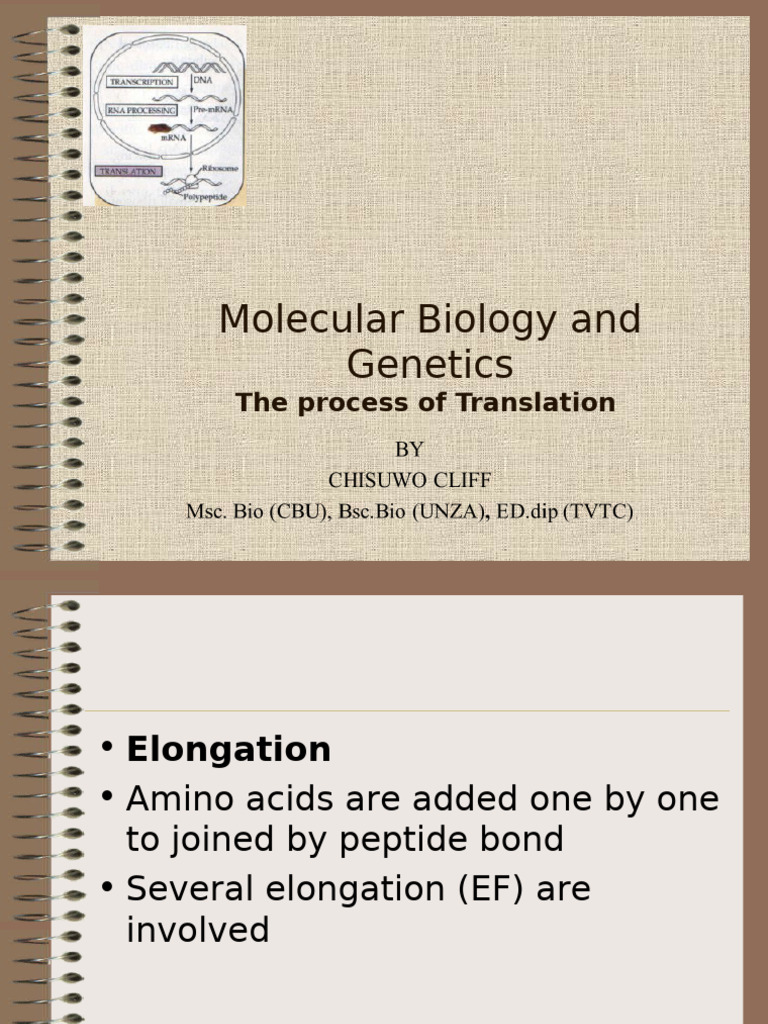 Translation Process in Molecular Biology | PDF | Translation (Biology ...