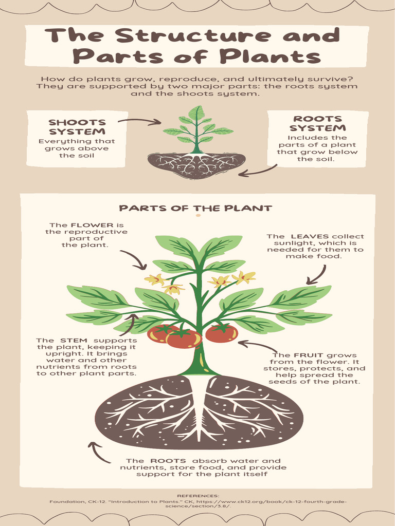 The Structure and Parts of Plants Science Infographic in Beige Brown ...