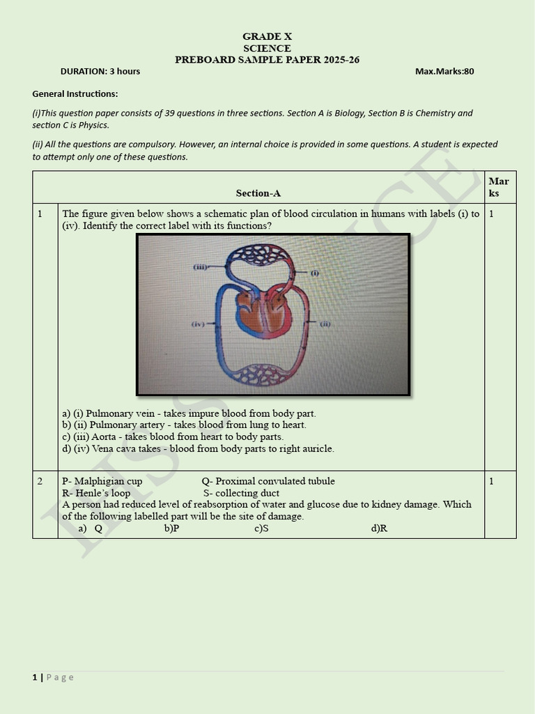 GRADE X Science Preboard Practice Paper | PDF | Ph | Chemical Substances
