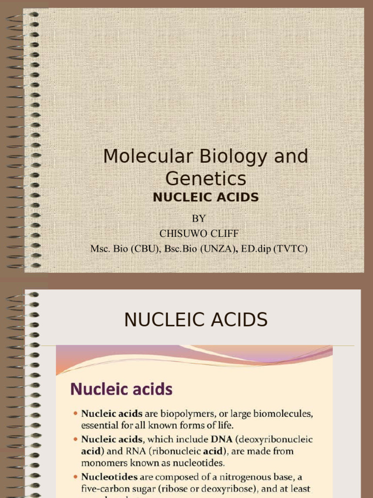 Lesson 2 Nucleic Acid | PDF