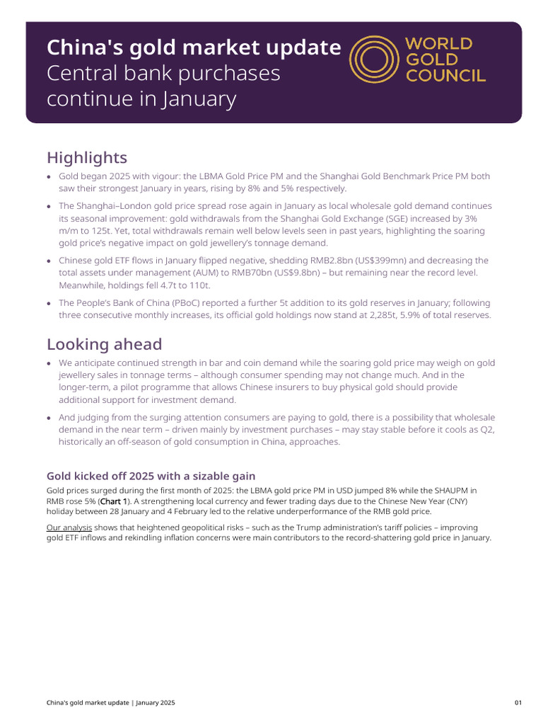 China Monthly Update Jan - 20250218 - Final | PDF | Gold As An ...