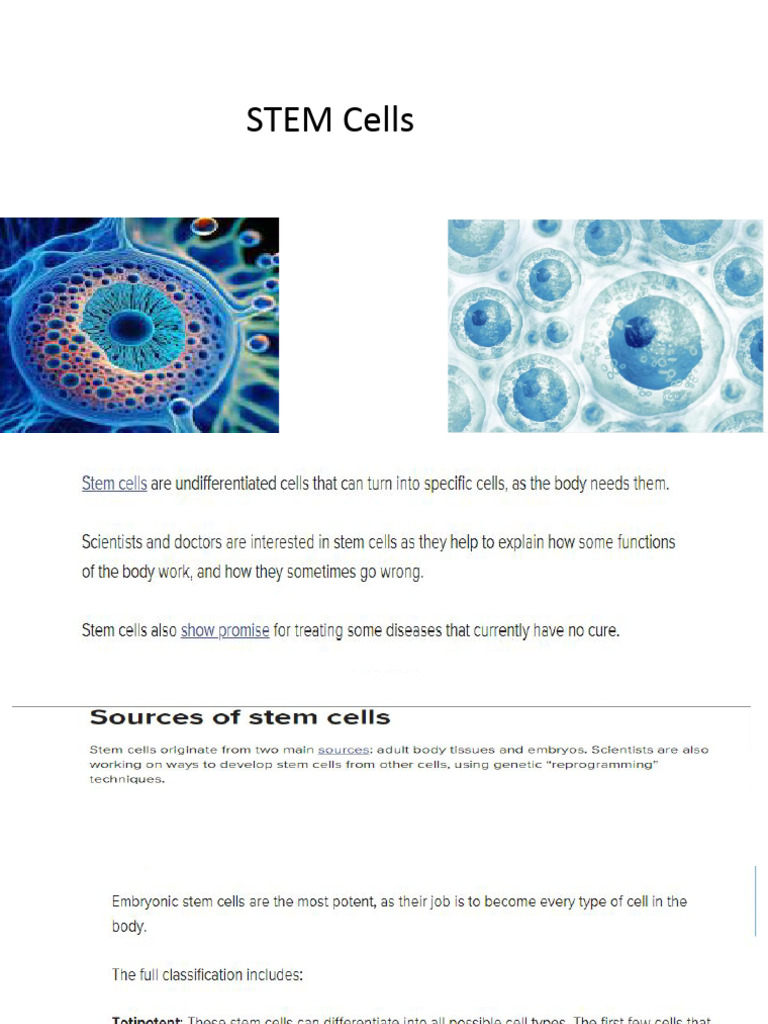 Stem Cells | PDF