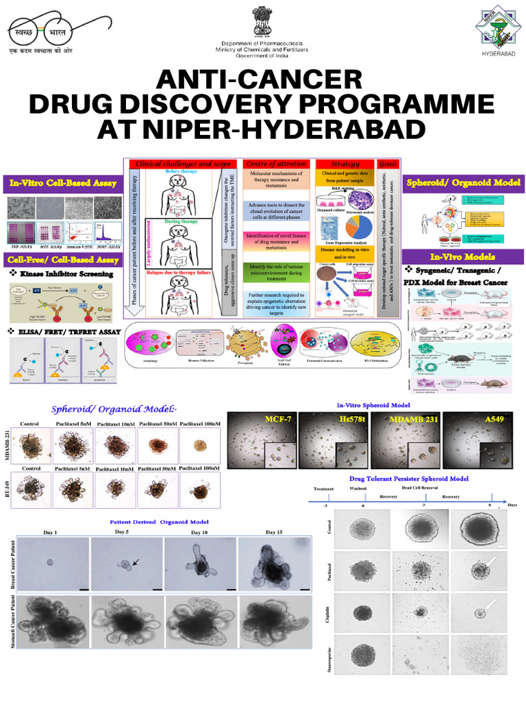 Anti-Cancer Drug Discovery Programme | PDF