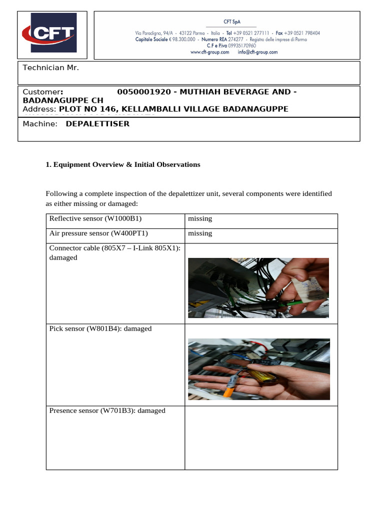 Report CFT Depal | PDF