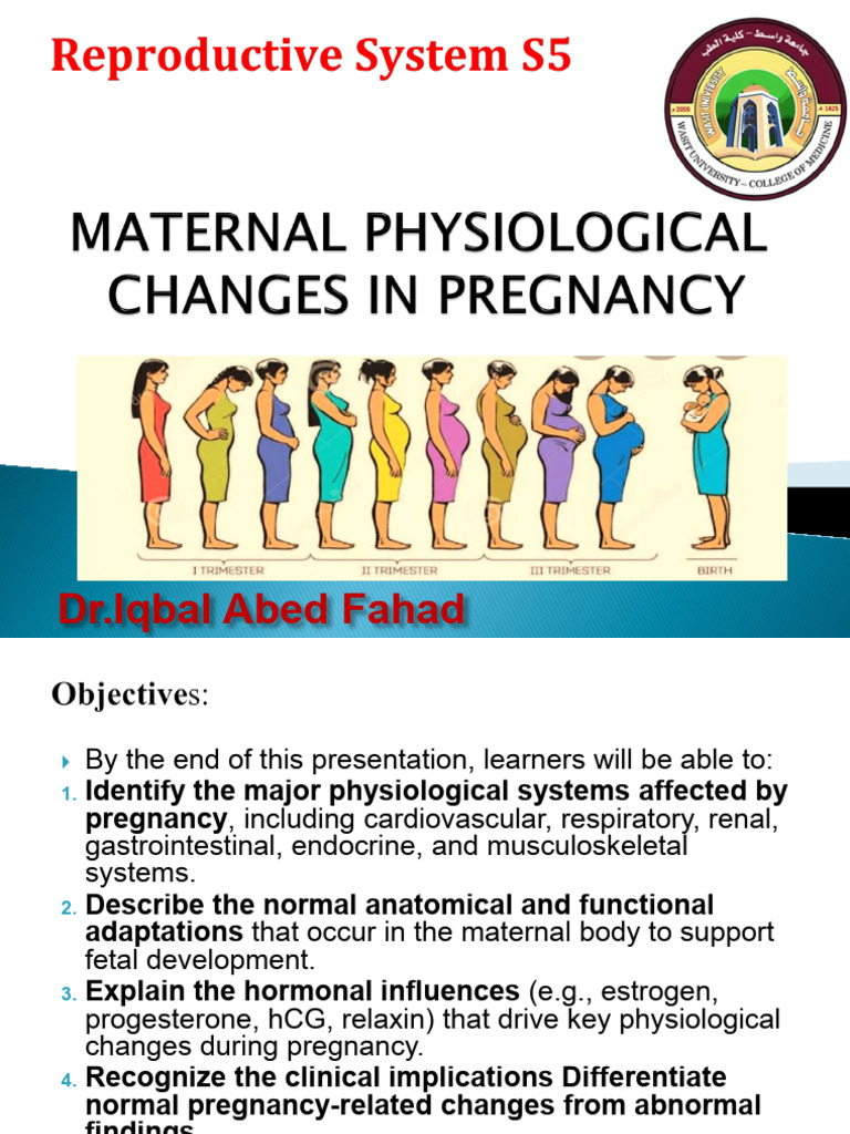 Lec24 - Maternal Physiological Changes in Pregnancy | PDF | Uterus ...