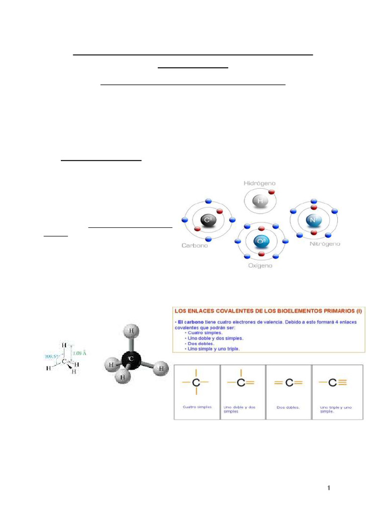 Bioe y Biomolecl2018-19 (4) | PDF | Polaridad química | Propiedades del agua
