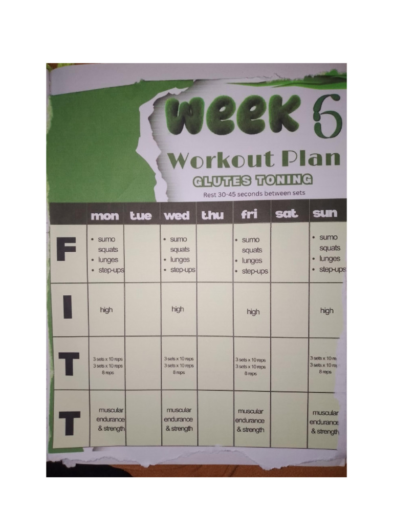 Work Out Plan | PDF
