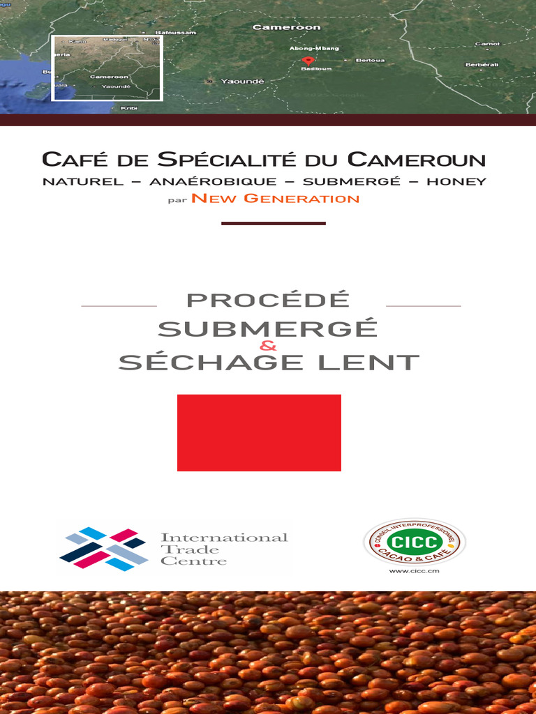 Café de spécialité Baditoum du Cameroun | PDF | Café
