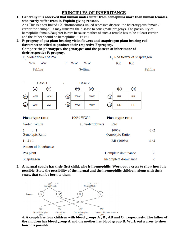 Principles of Inheritance | PDF | Genotype | Dominance (Genetics)