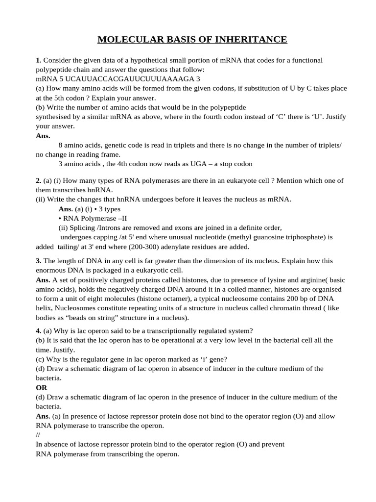 Molecular Basis of Inheritance | PDF | Translation (Biology) | Operon