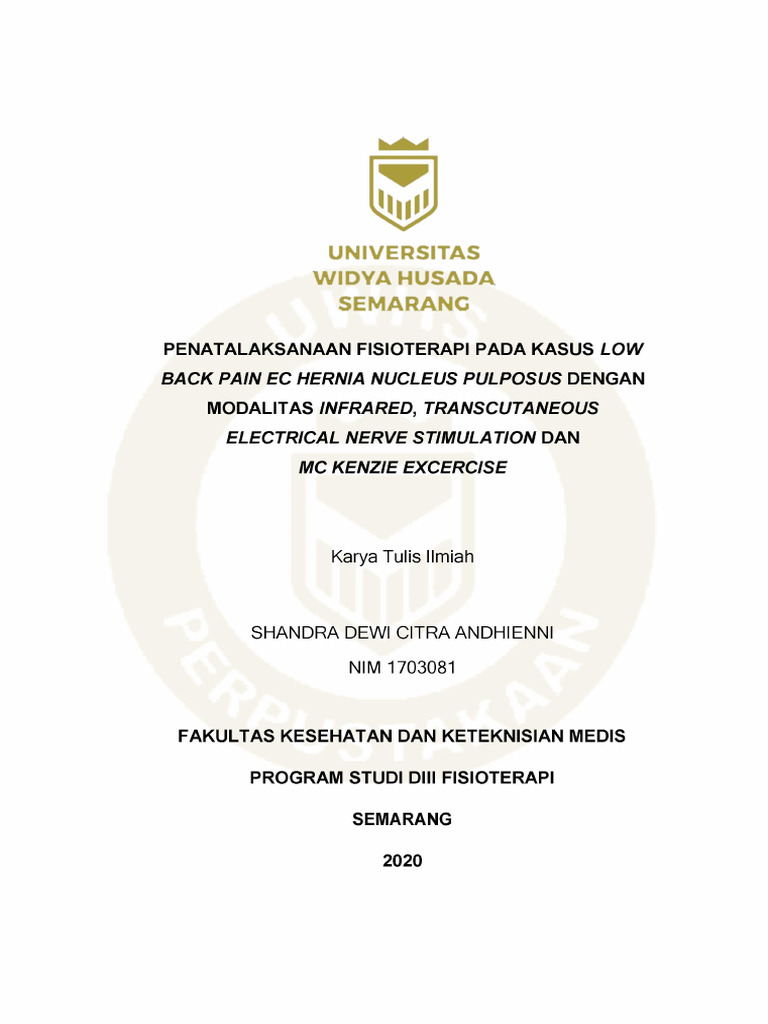 penatalaksanaan fisioterapi hnp,lbp | PDF