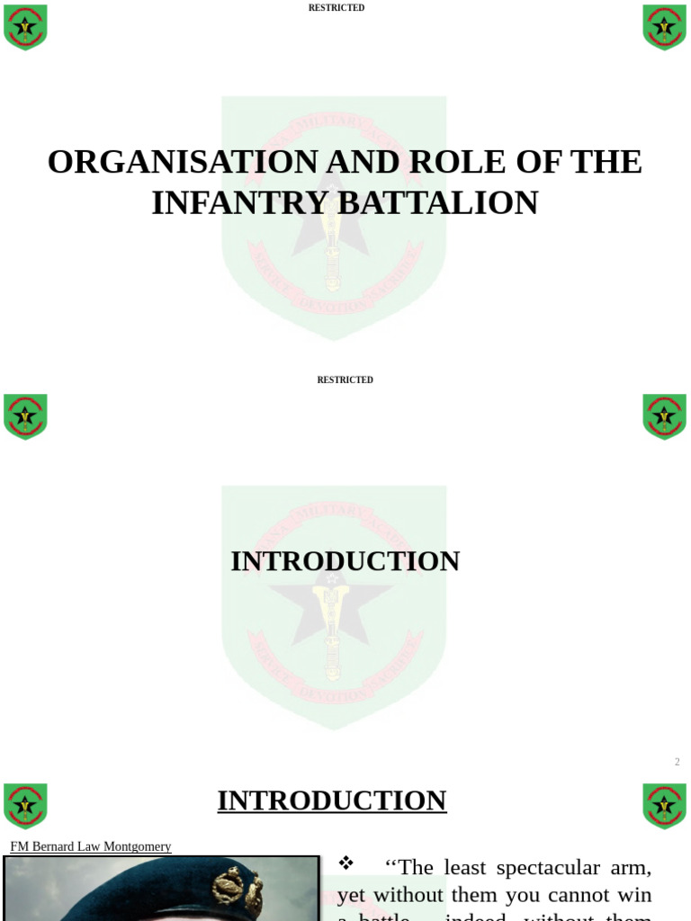 Org and Role of Infantry BN | PDF | Platoon | Infantry