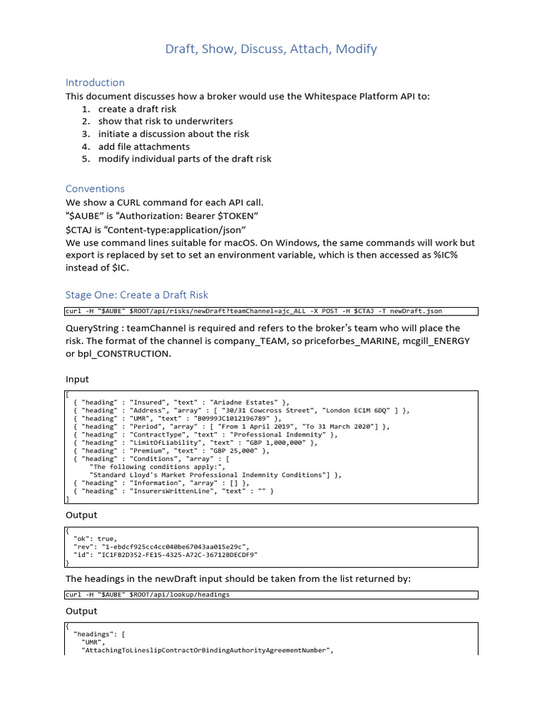 Broker API Guide: Drafting Risks | PDF | Software | Computer Programming