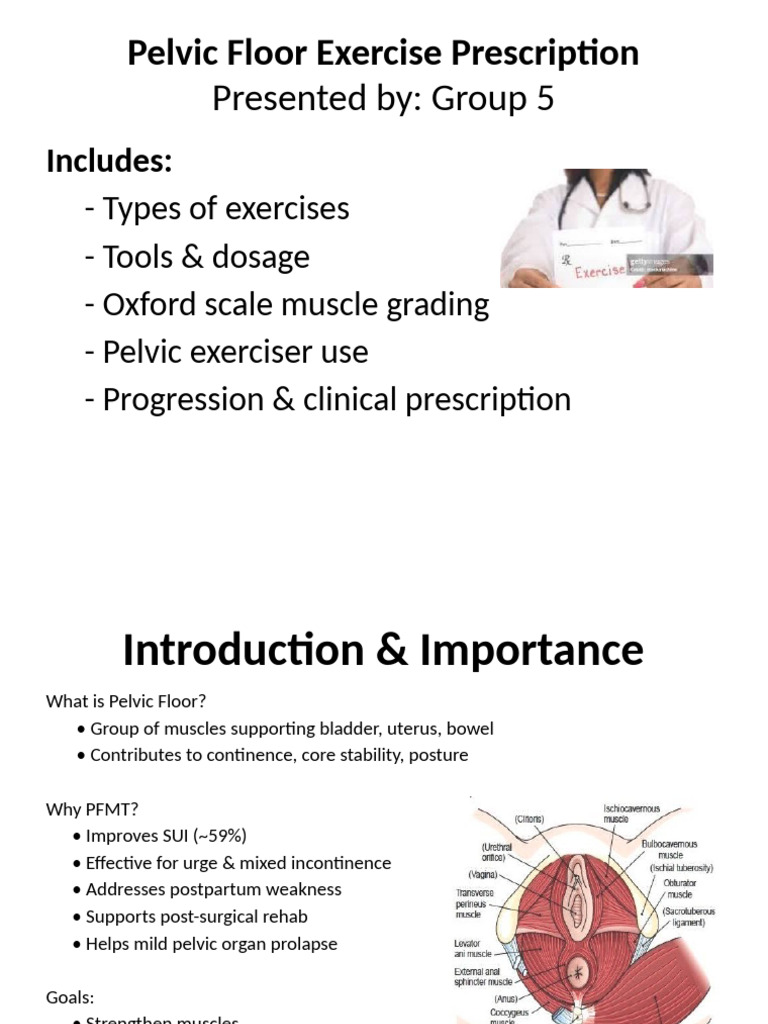 Pelvic Floor Exercise Prescription Group5 | PDF | Urinary Incontinence ...