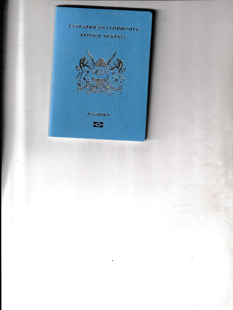 Passport (2) | PDF