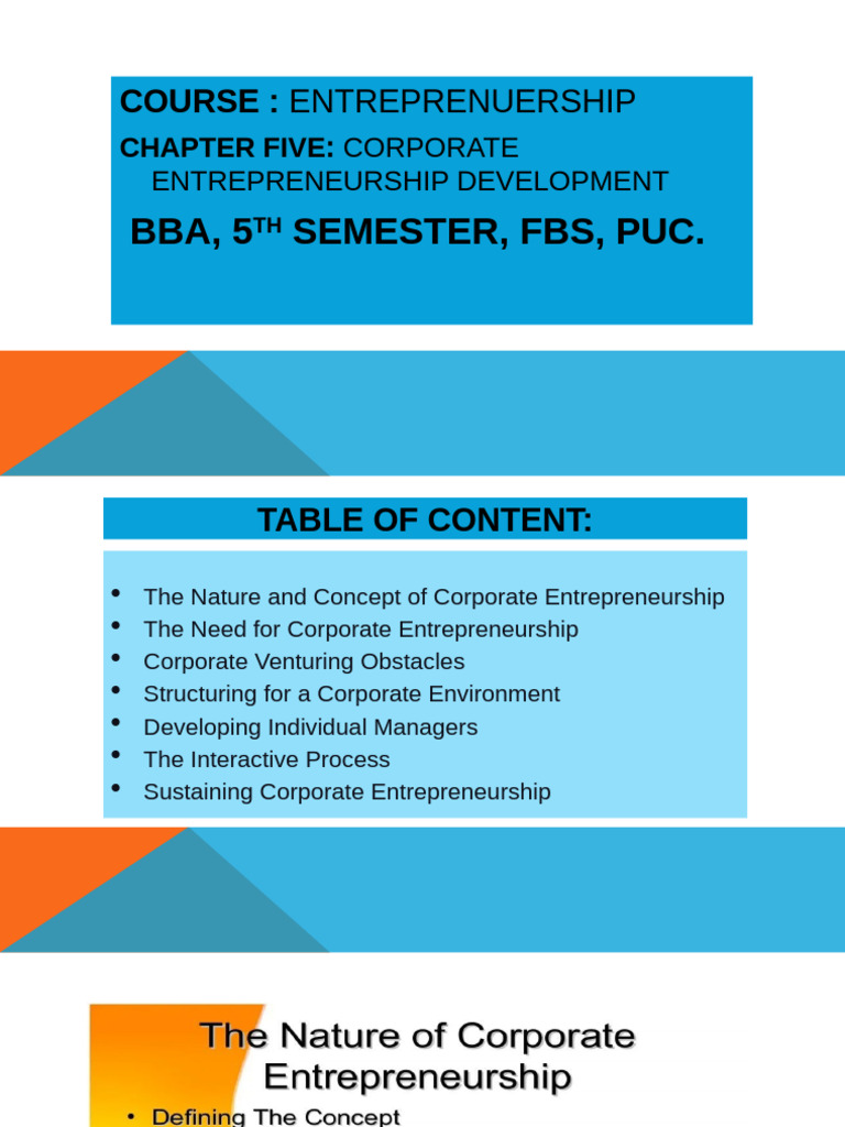 Corporate Entrepreneurship Development Guide | PDF | Venture Capital ...