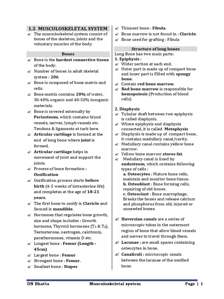 Overview of the Musculoskeletal System | PDF | Bone | Human ...
