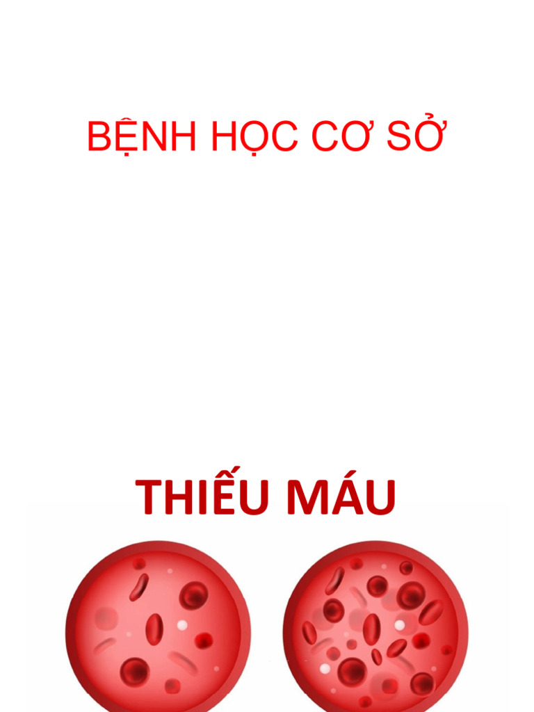 4. thieu mau | PDF