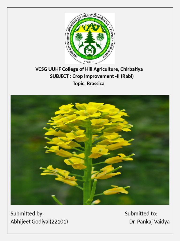 Brassica Crop Improvement Techniques | PDF | Rapeseed | Plant Breeding