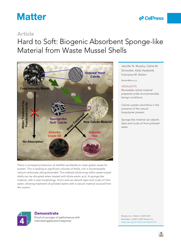 Hard To Soft Biogenic Absorbent Sponge-Like Material From Mussel Shells ...