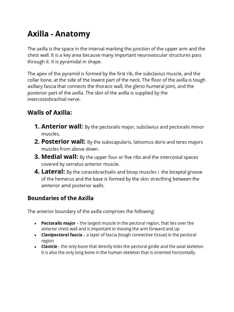 Axilla- Anatomy | PDF | Arm | Thorax