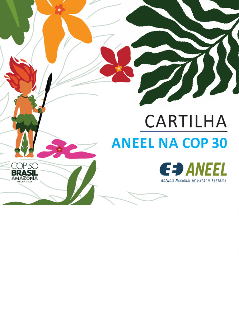 ANEEL na COP 30: Regulação e Inovação | PDF