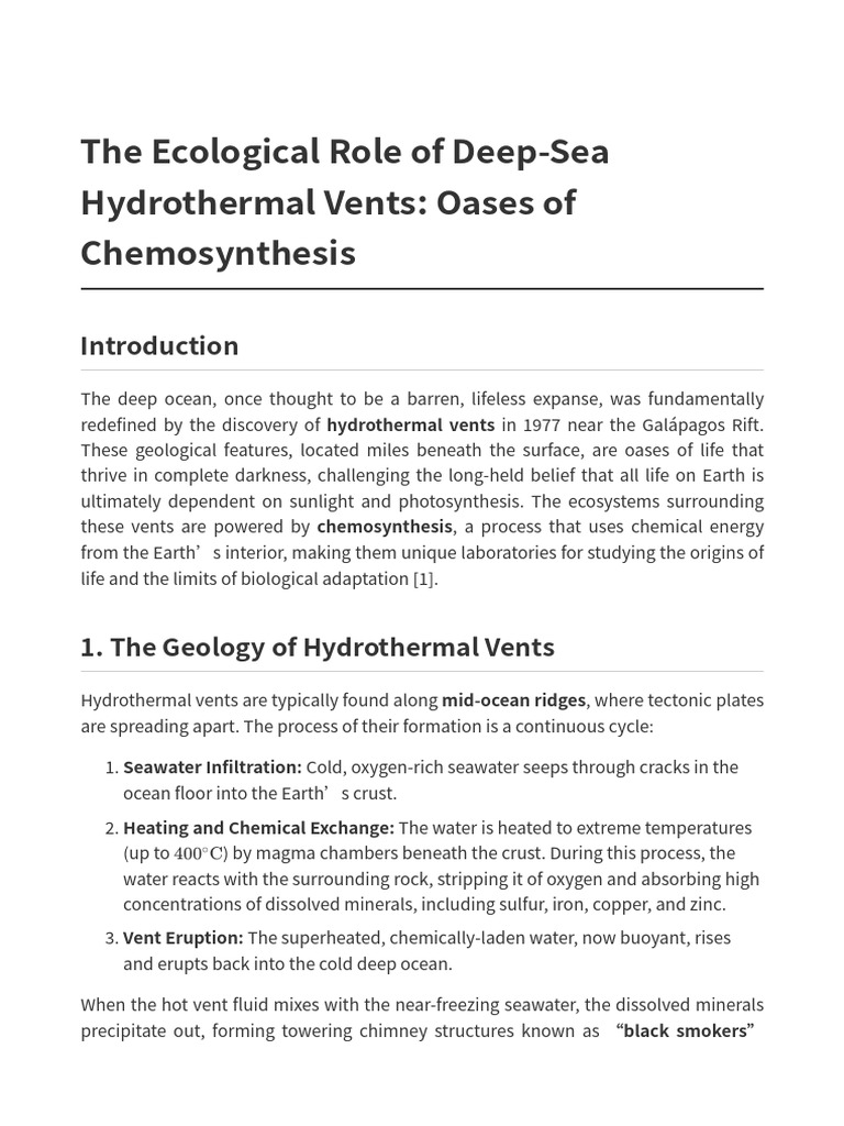 Document 19 Hydrothermal Vents | PDF | Hydrothermal Vent | Biology