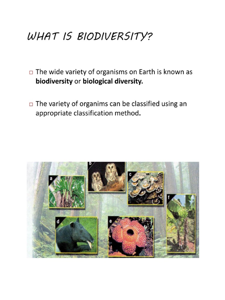 Understanding Biodiversity and Organisms | PDF | Science & Mathematics