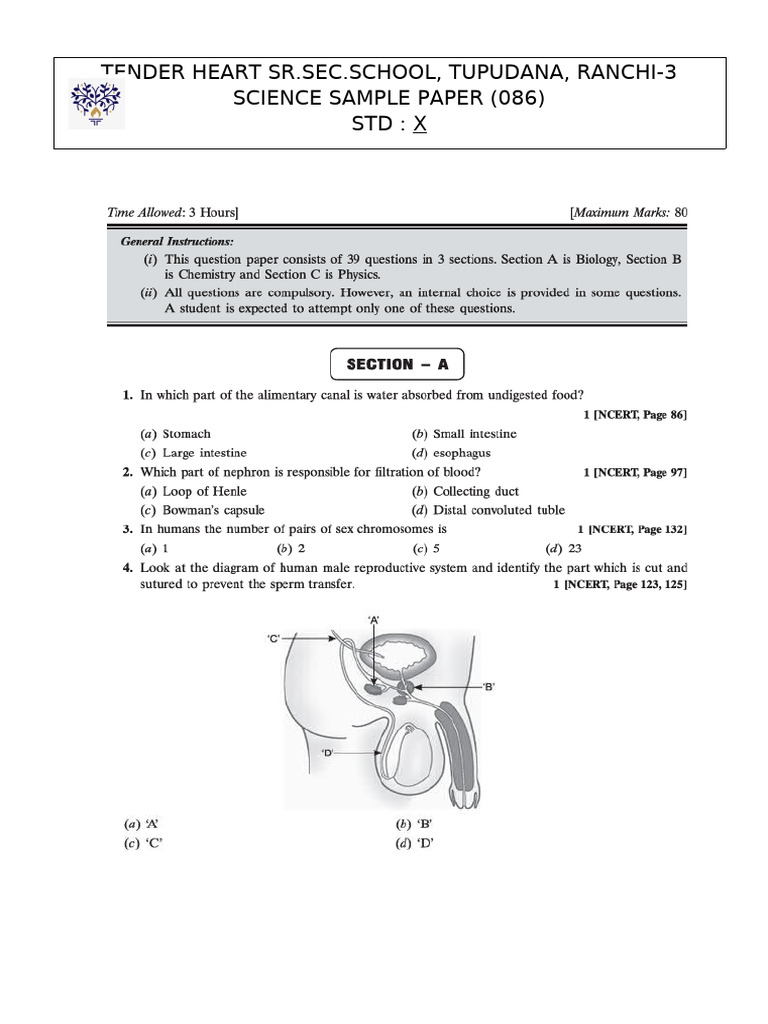 STD 10 Science Diwali + Chhath HHW | PDF