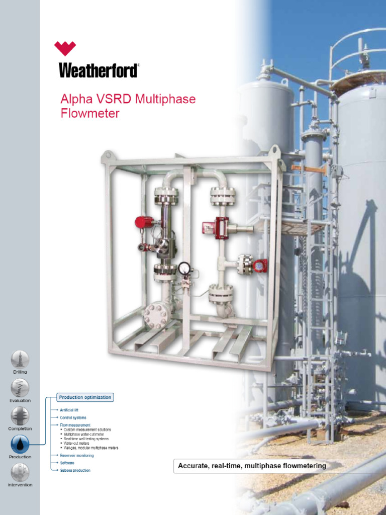 Alpha VSRD Multiphase Flowmeter _ Manualzz | PDF