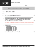 English Flashback Story | PDF