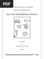 LPO vs HPO: Microscope Magnification | PDF | Scanning Electron ...