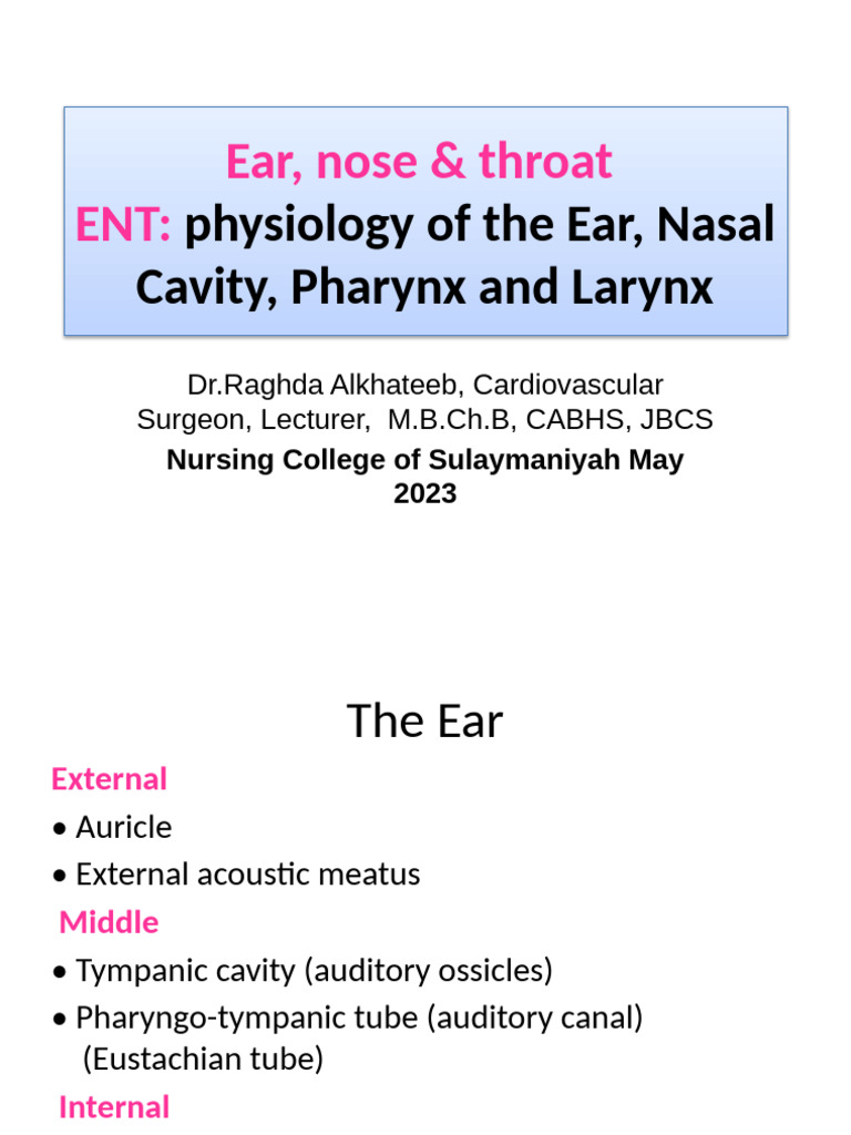 Ent Physiology Nursing 2023 | PDF | Ear | Larynx