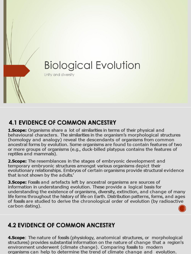 Evolutionary Evidence: Morphology & Ancestry | PDF | Cell (Biology ...