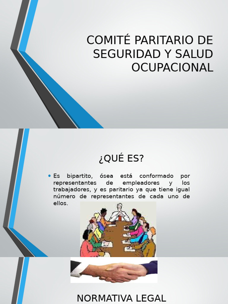 Comité Paritario Sso | PDF