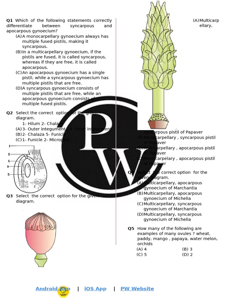 Gynoecium and Ovule Structure Quiz | PDF | Branches Of Botany | Plant ...