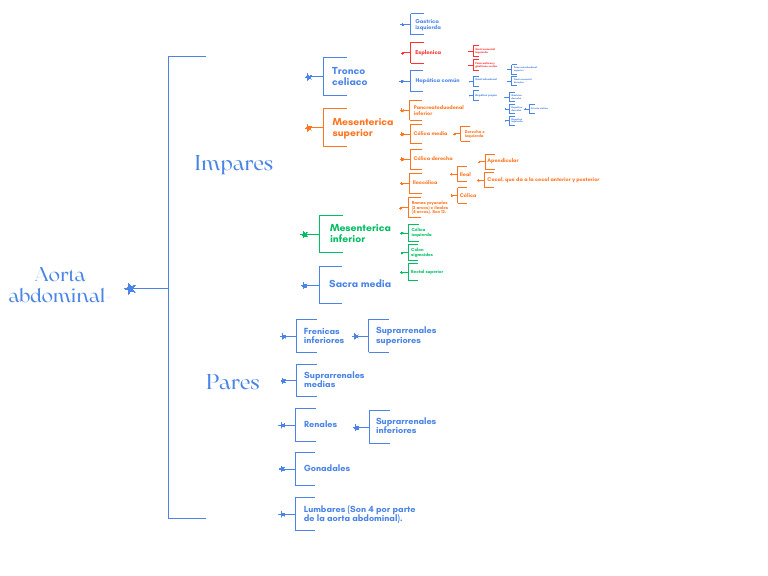 Cuadro Sinóptico de Llaves Tips Creatividad Simple Minimalista Azul | PDF | Abdomen ...