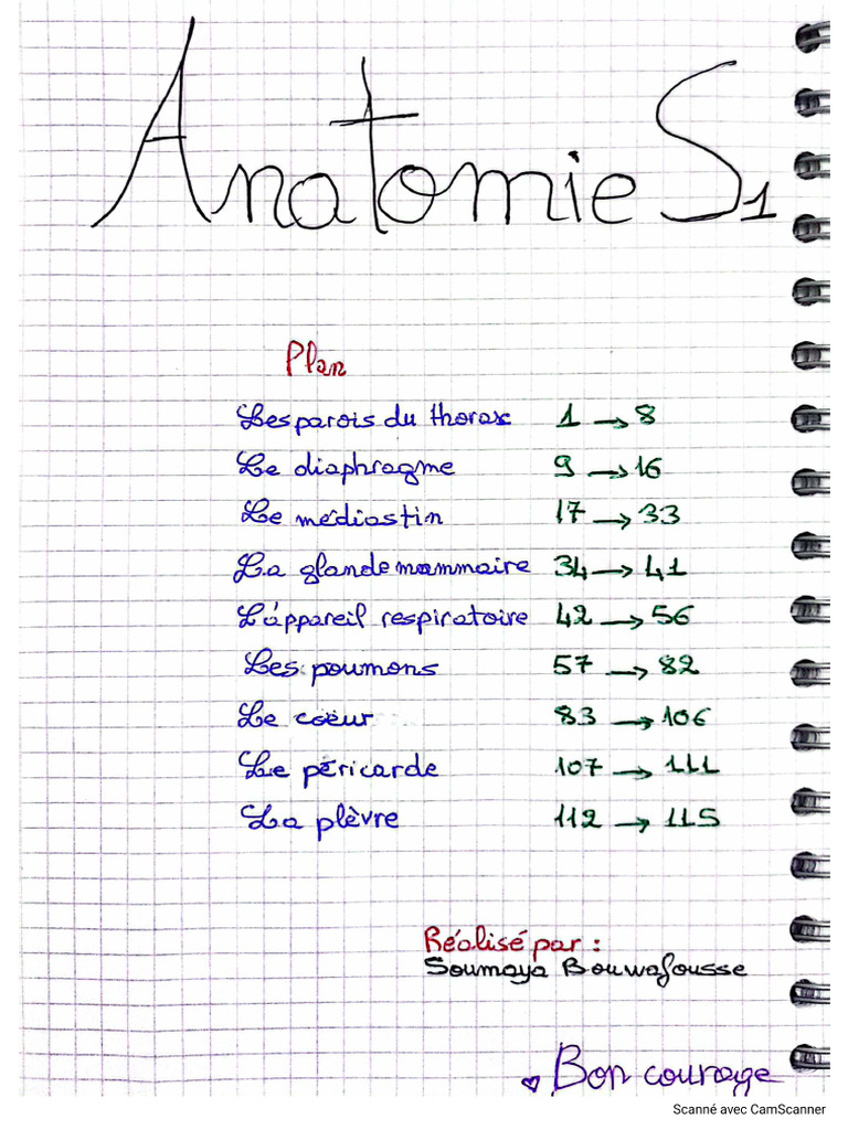 Anatomie S1.notes | PDF