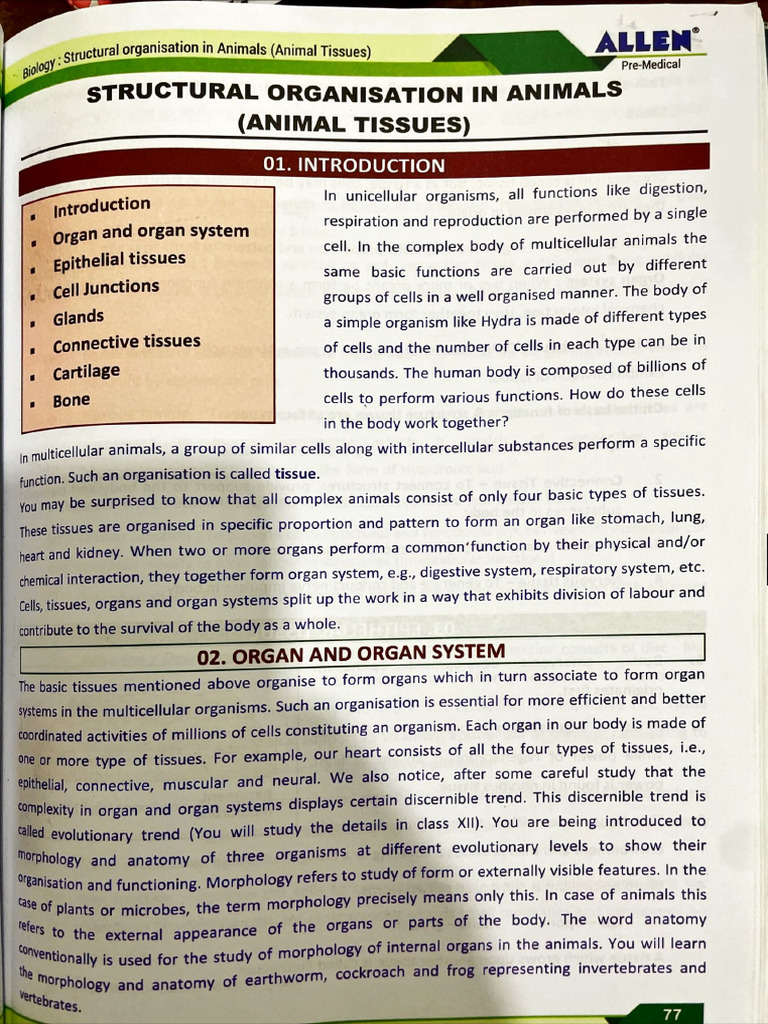 Allen 2026 NEET Module (Structural Organisation in Animals) | PDF
