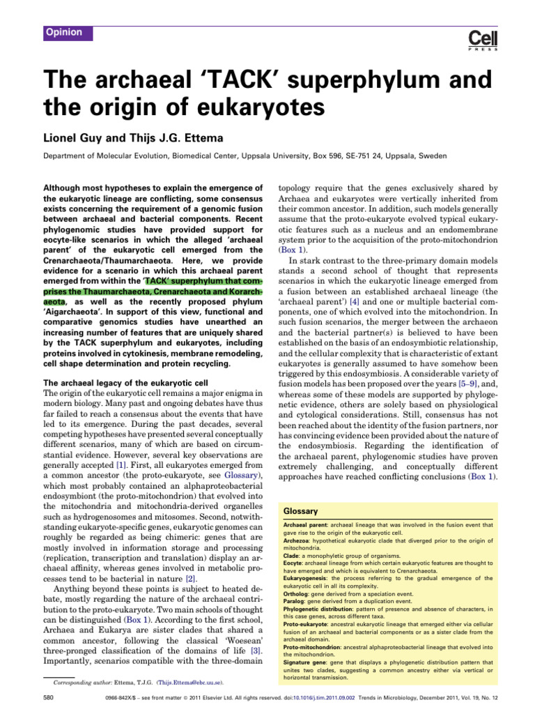 TACK Superphylum | PDF | Archaea | Eukaryotes