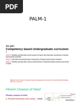 Palmar Hand Anatomy Overview | PDF | Hand | Musculoskeletal System