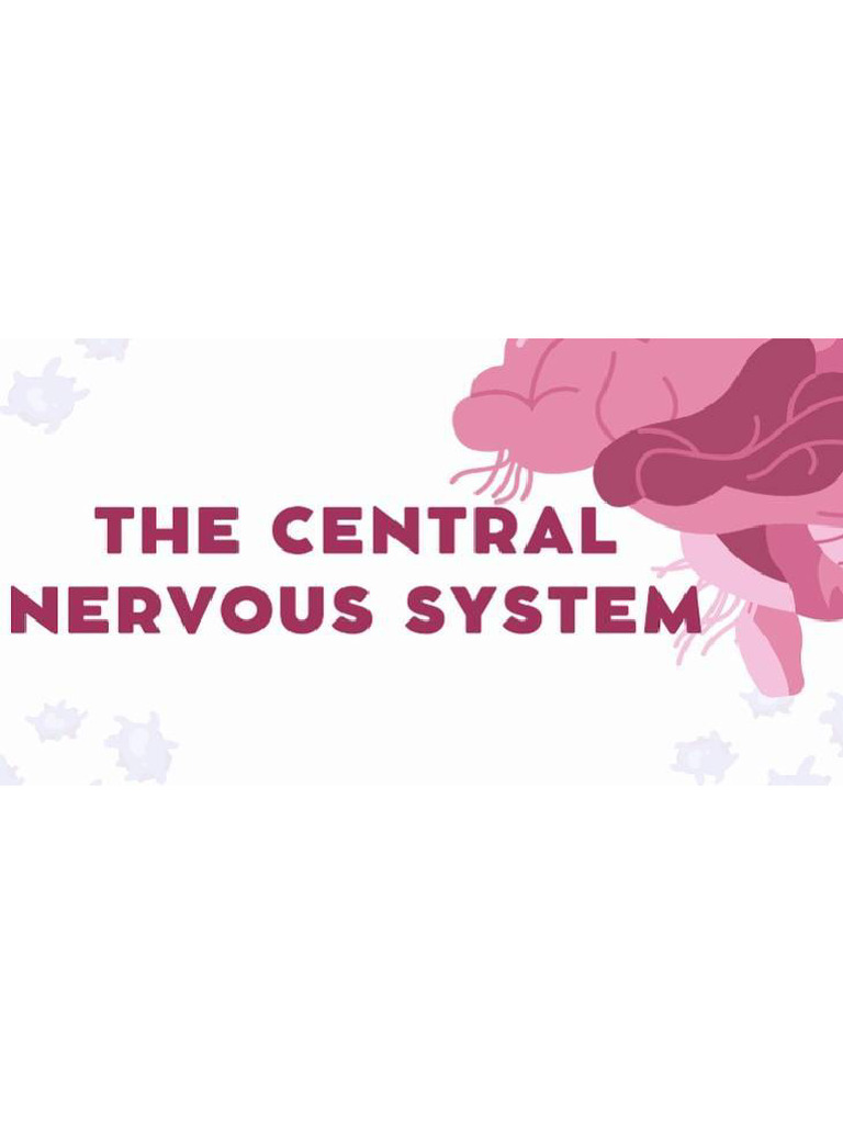 Central Nervous System (Medicine Practicals) | PDF