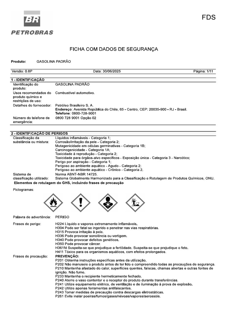 Fds Gasolina Pdf