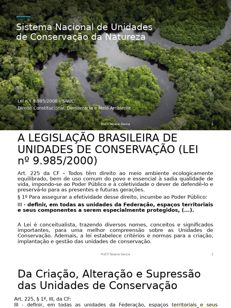 Unidades de Conservação no Brasil: SNUC | PDF | Proteção ambiental ...