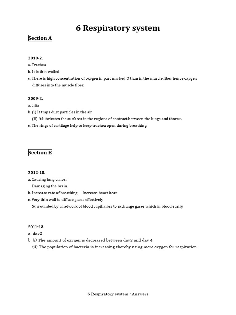 Respiratory System Study Guide Answers | PDF | Breathing | Respiratory ...