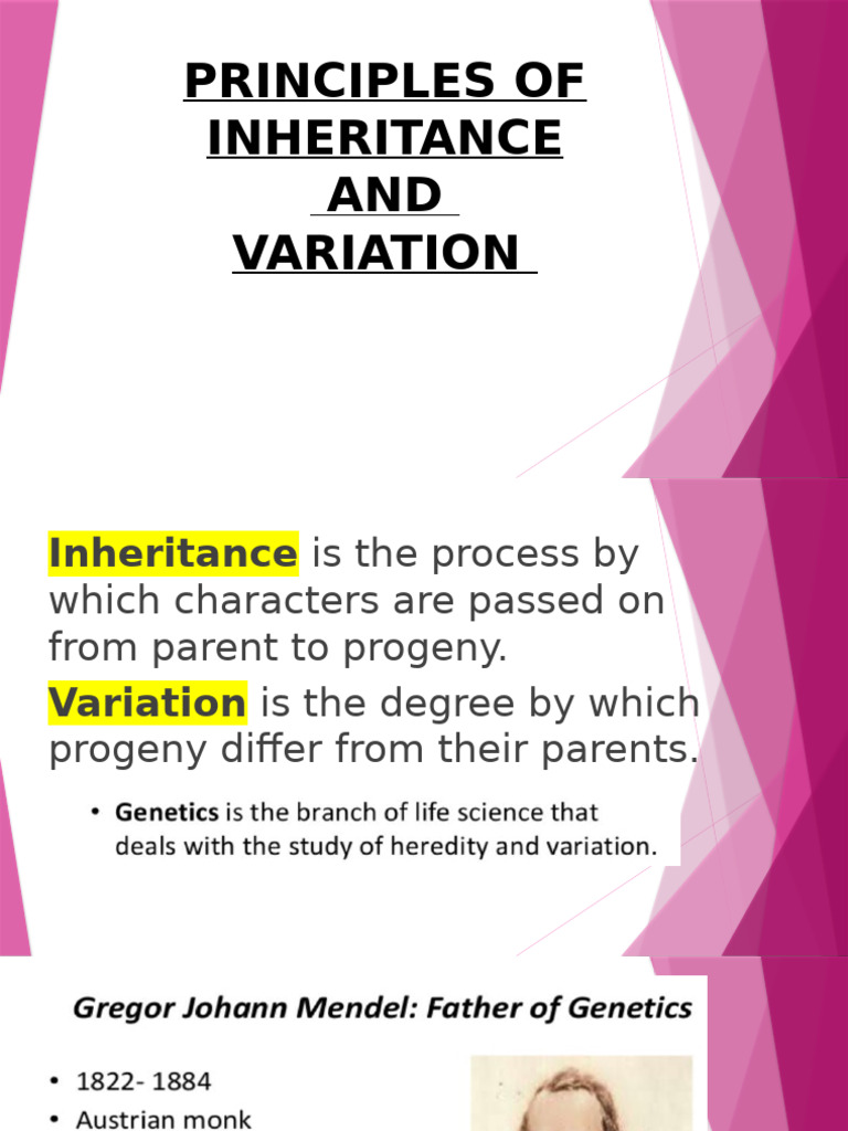 PRINCIPLES OF INHERITANCE | PDF | Dominance (Genetics) | Genotype