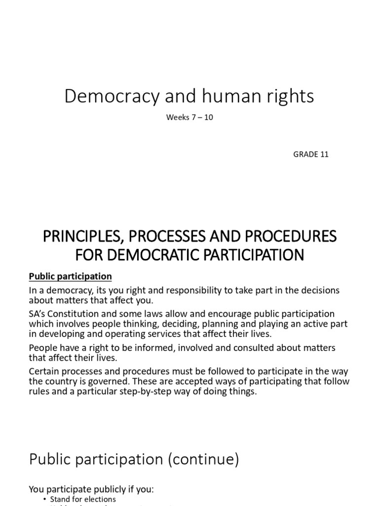 Principles of Democratic Participation | PDF | Rule Of Law | Elections