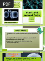 Cell Organelles as House Components | PDF | Science & Mathematics